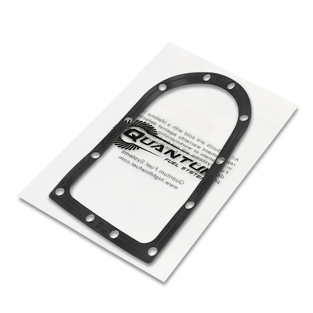 QFS Fuel Pump Tank Seal / Gasket, HFP-TS5 – Carrot Top Tuning