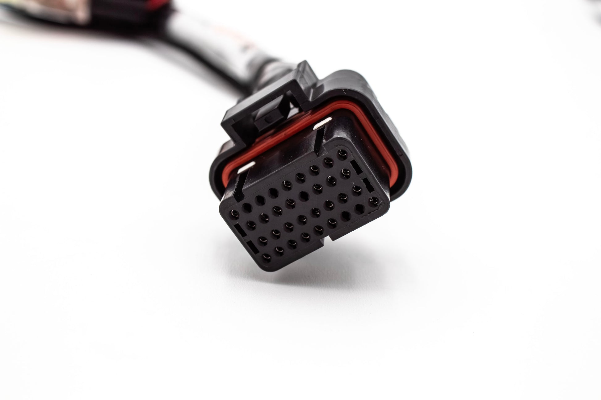 Haltech Elite 550/750 B Series & H Series Standalone Honda B18 B16 H22 ...