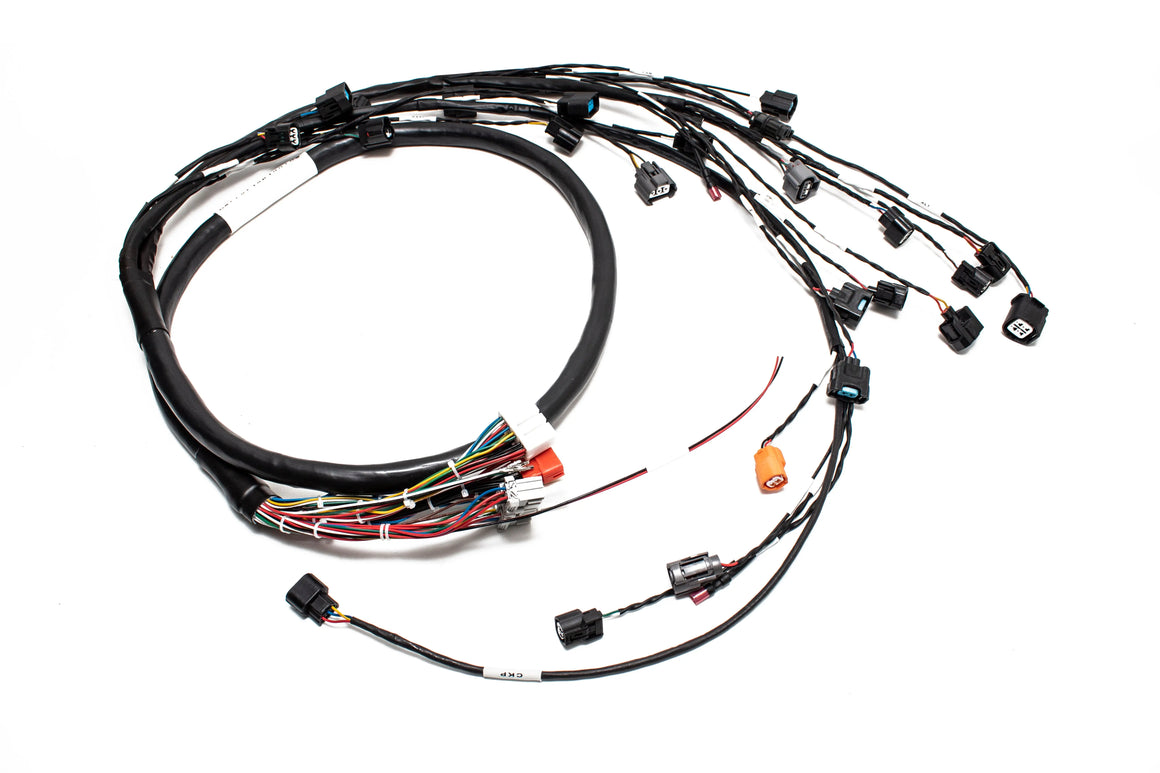 Shop Categories_Engine Harnesses Electronics at Carrot Top Tuning