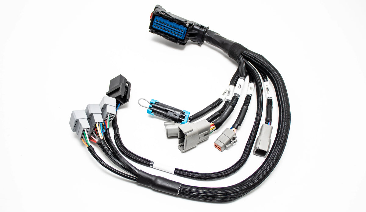 Plug & Play Jumper Harness for AEM Infinity 506 508 6 8H ECUs | 30-350 ...